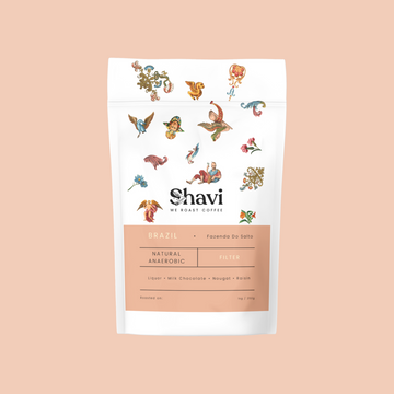 Coffee Filters – Shavi Coffee Roasters